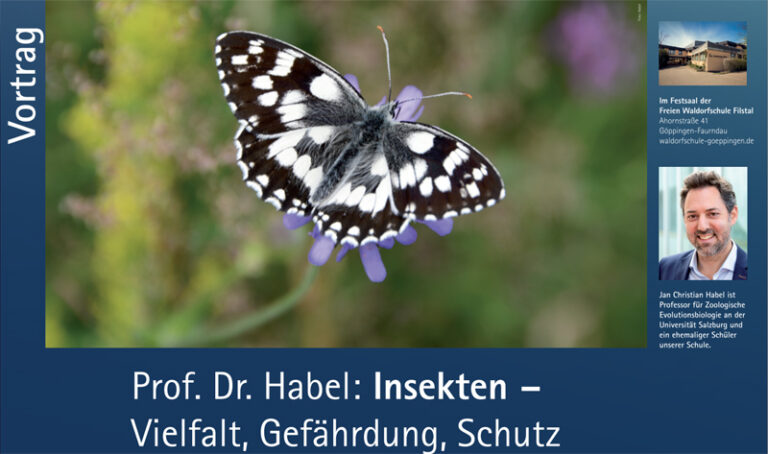 Vortrag Prof.Dr.Habel: Insekten – Vielfalt, Gefährdung, Schutz – Freie ...